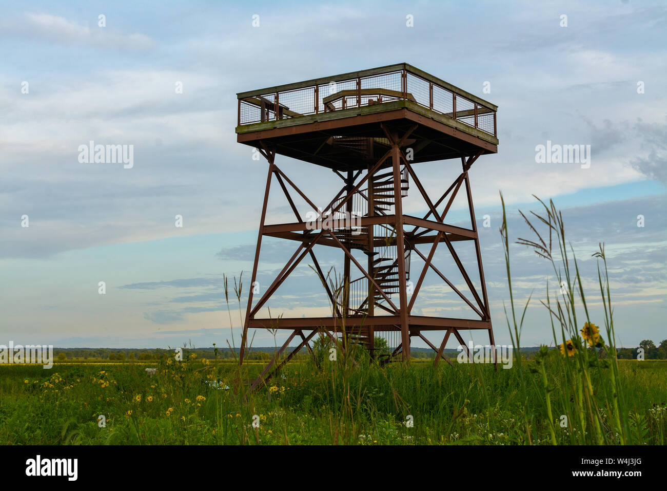 Wetlands observation platform hi-res stock photography and images - Alamy