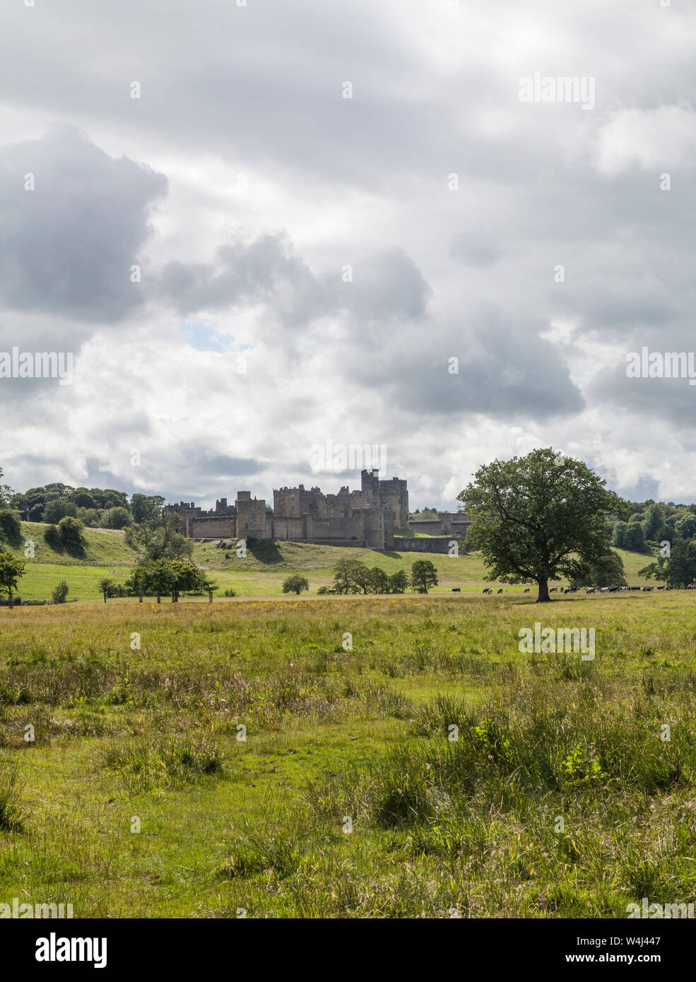 A scenic view of Alnwick Castle,Northumberland,England,UK Stock Photo ...