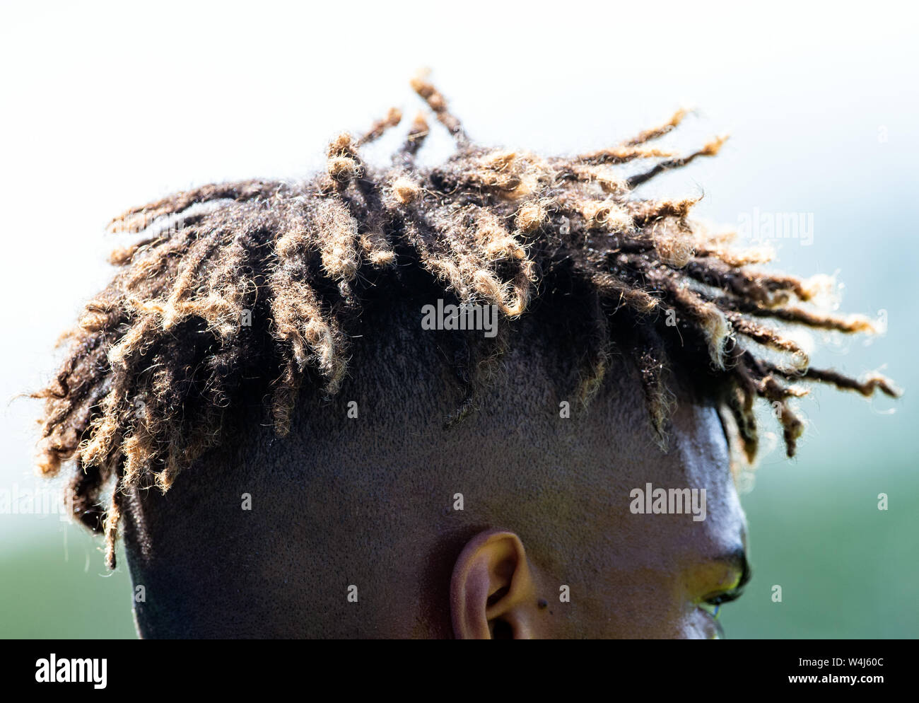 Rasta curls hi-res stock photography and images - Alamy