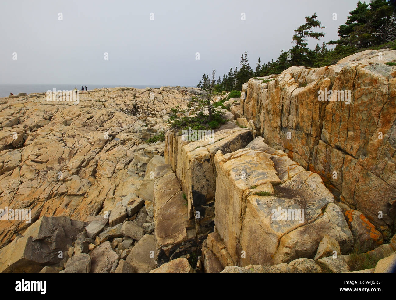 Schoodic Point, Acadia National Park, Maine Stock Photo - Alamy