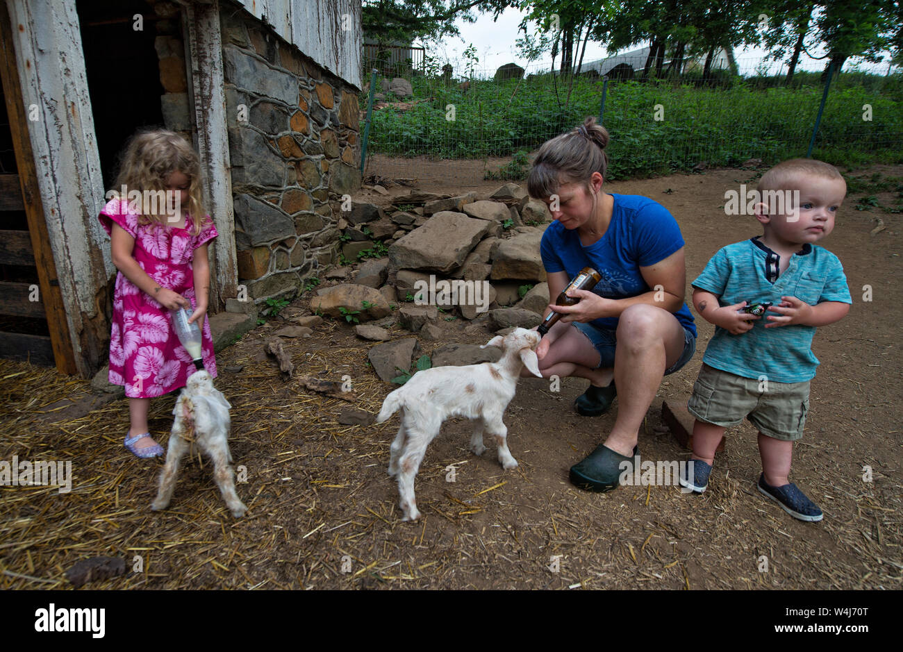 UNITED STATES - June 7, 2019: Mabel, Molly and Doolan Kroiz feed week ...