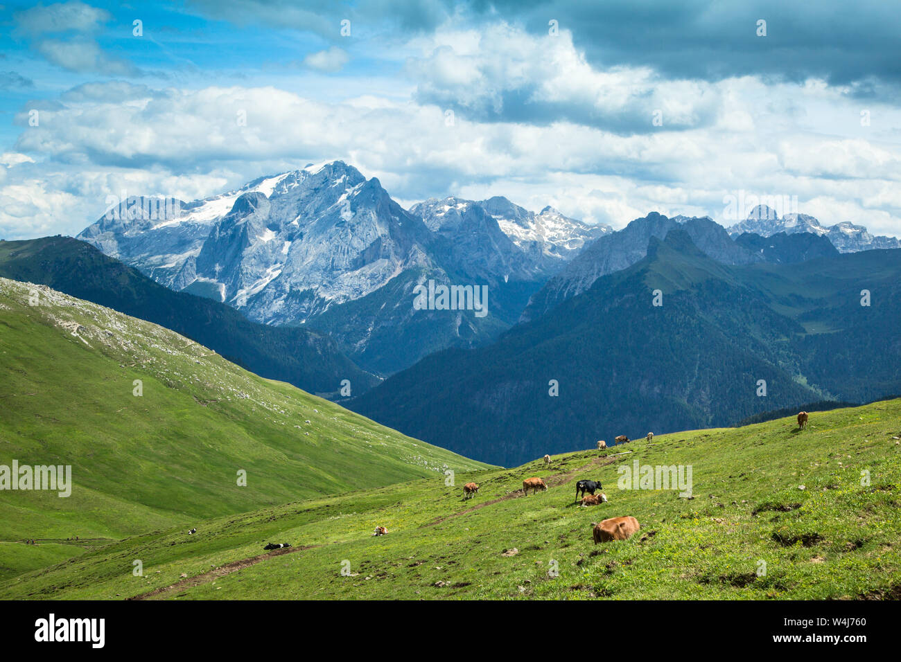 Alpine landscape in the Dolomites, Italy Stock Photo - Alamy