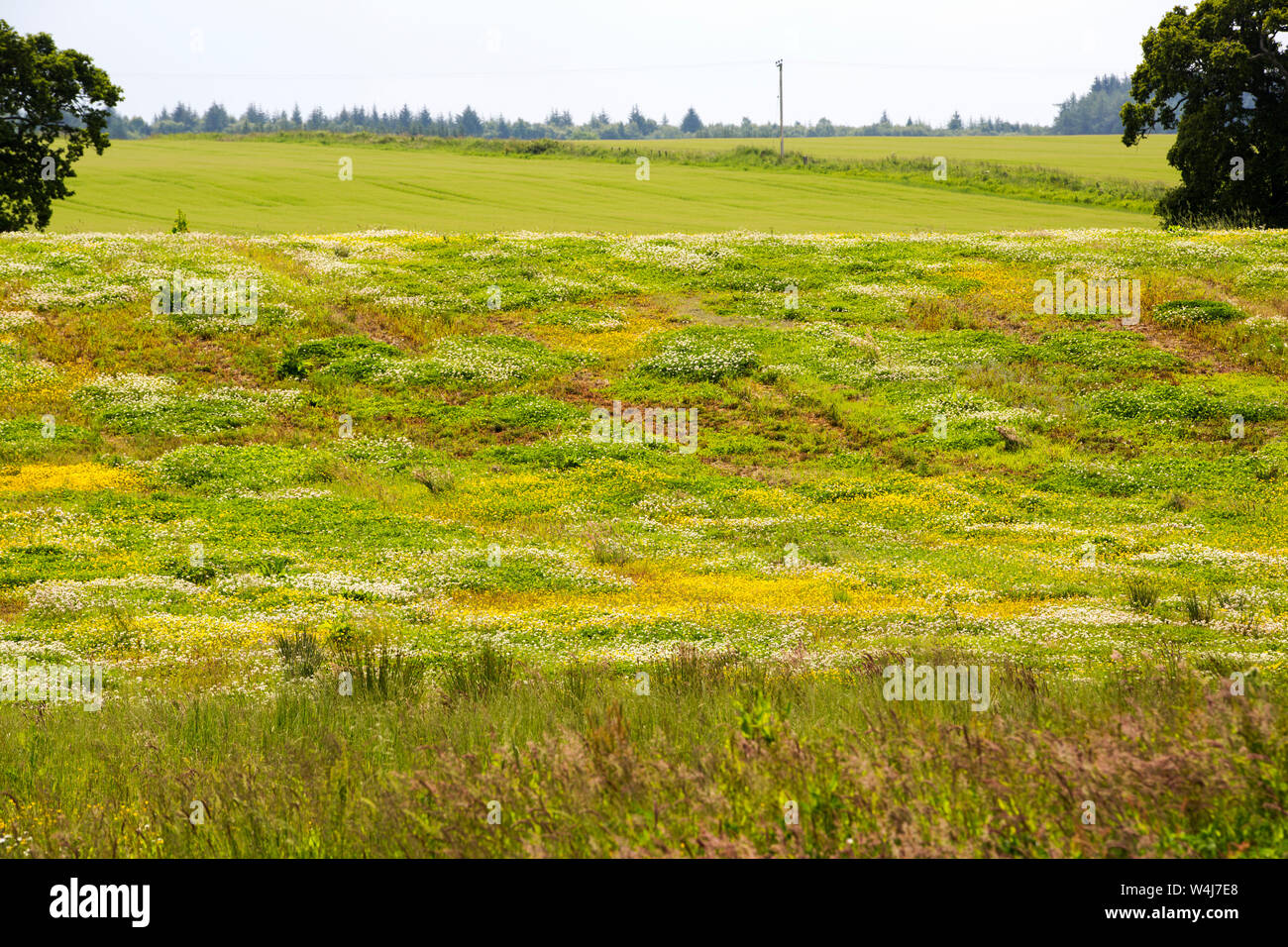 Set aside field hi-res stock photography and images - Alamy
