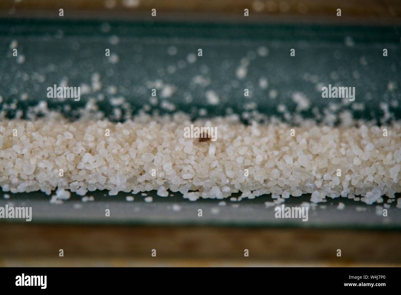 Salt conveyor belt hi-res stock photography and images - Alamy