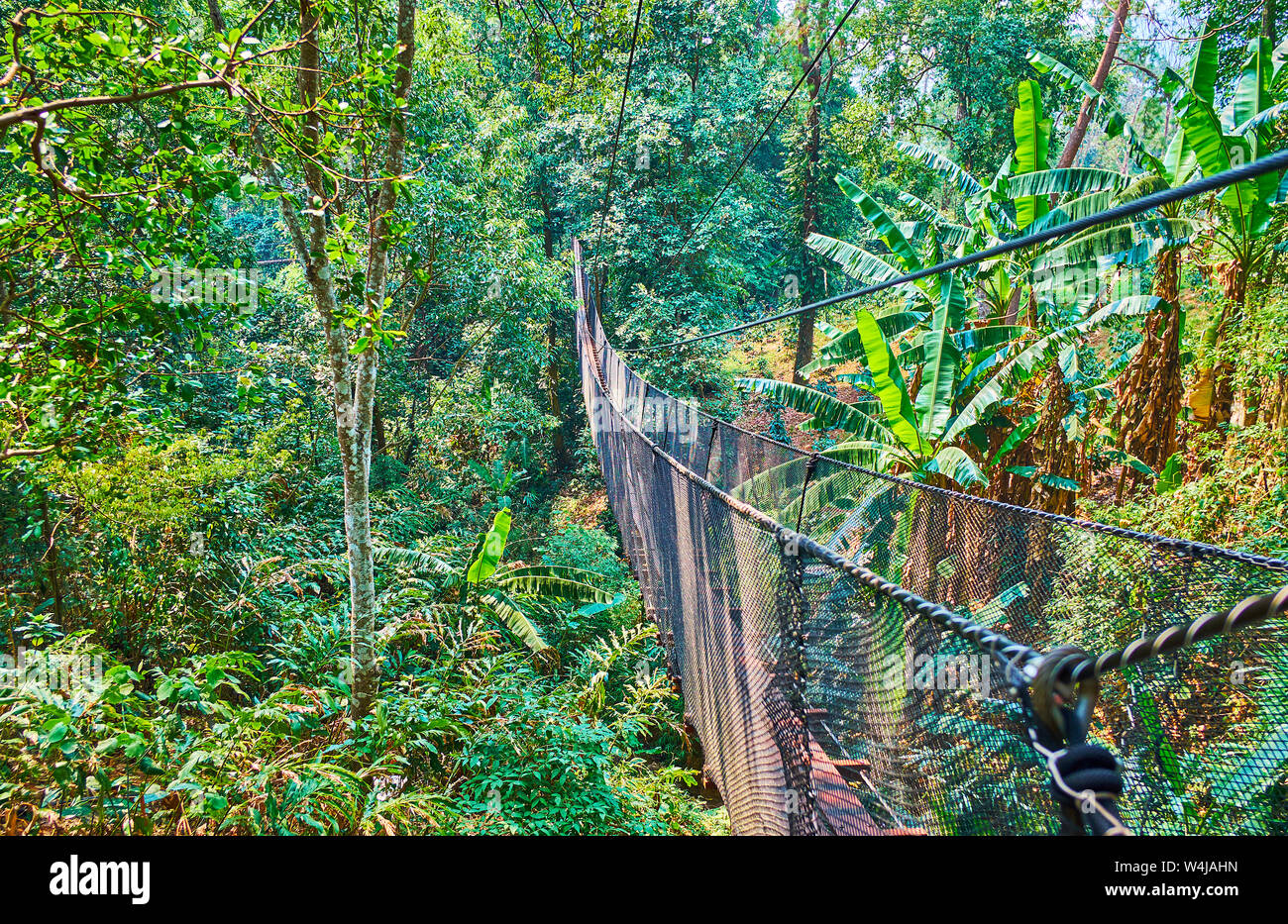 Tung tree hi-res stock photography and images - Alamy