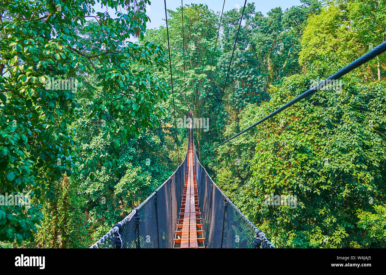 Rope Bridge Jungle High Resolution Stock Photography and Images - Alamy