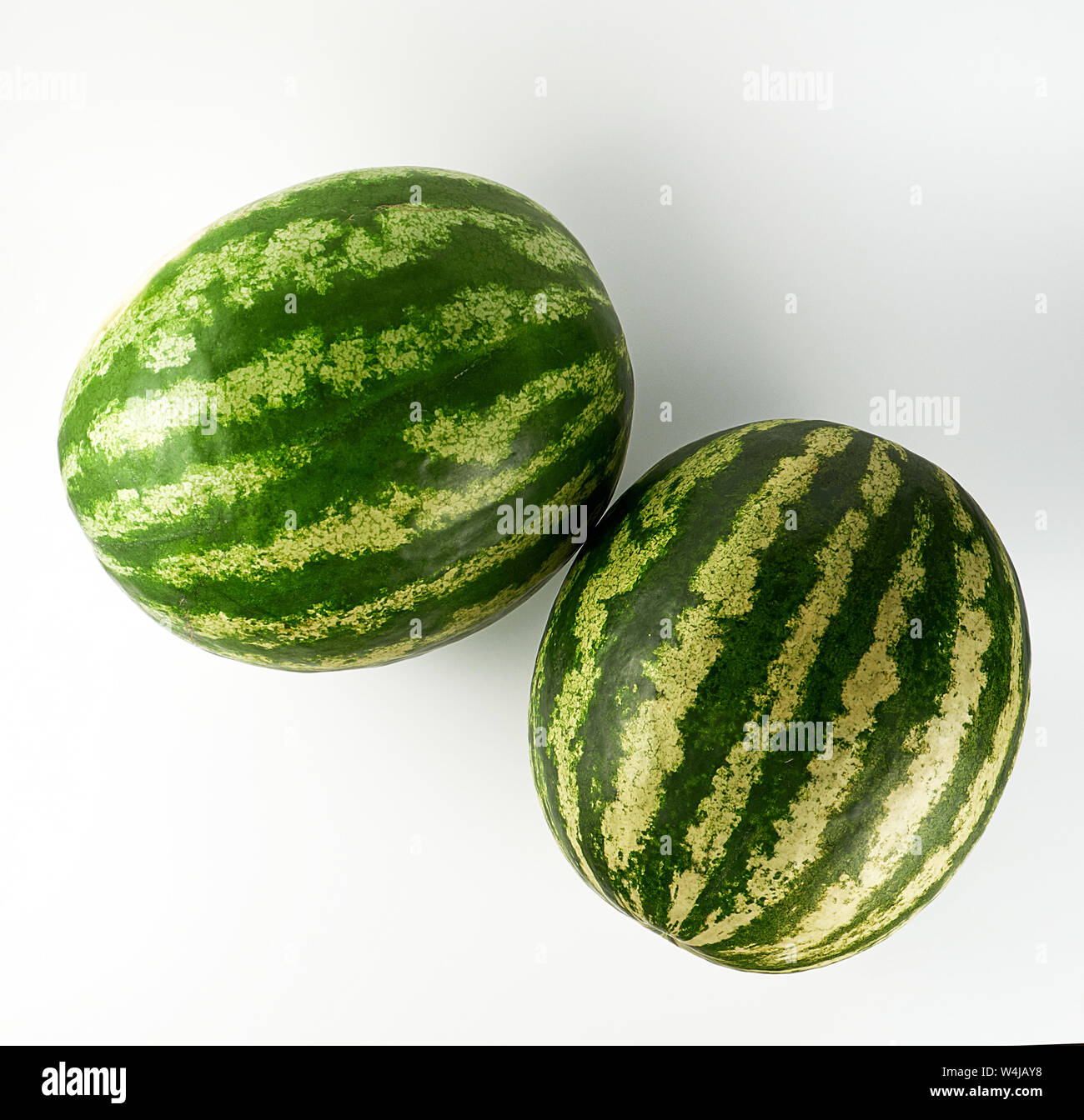 two big green striped whole watermelon on a white background, summer ...