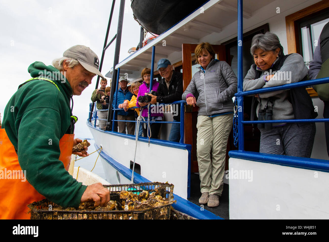 Oyster Dave at an oyster farrm, Prince William Sound, Chugach National Forest, Alaska Stock ...
