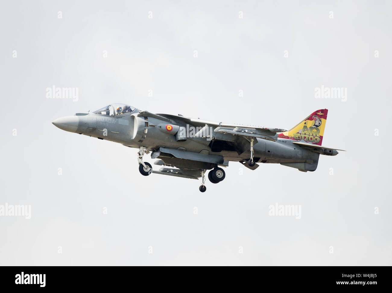 Spanish av 8b harrier hi-res stock photography and images - Alamy