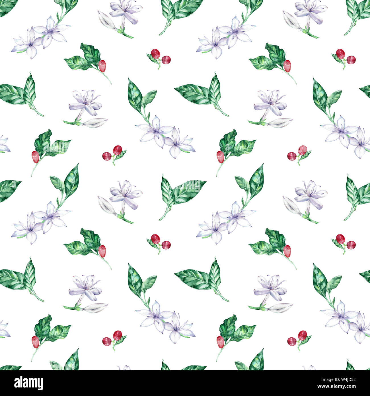 Watercolor seamless pattern with coffee flowers, berries and leaves ...