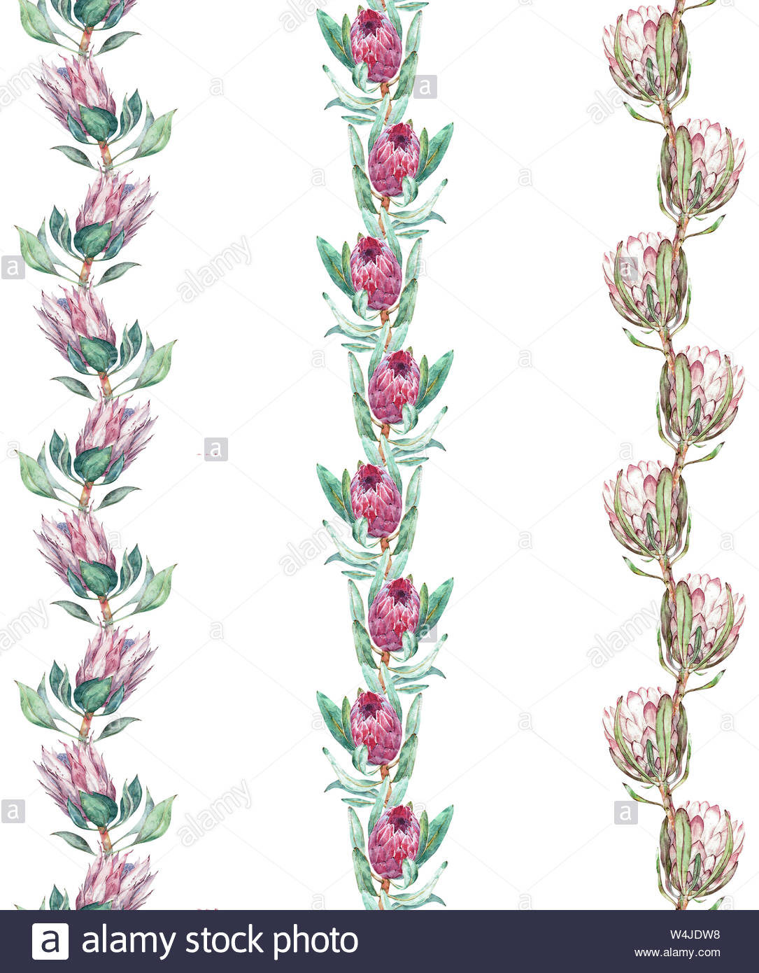 Cute Floral Border High Resolution Stock Photography and Images - Alamy