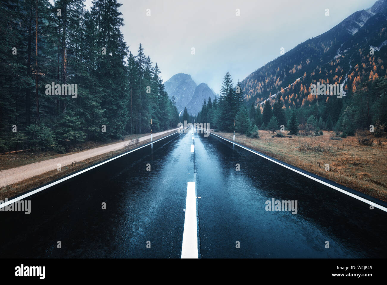 Asphalt mountain road in foggy forest in overcast rainy day Stock Photo ...