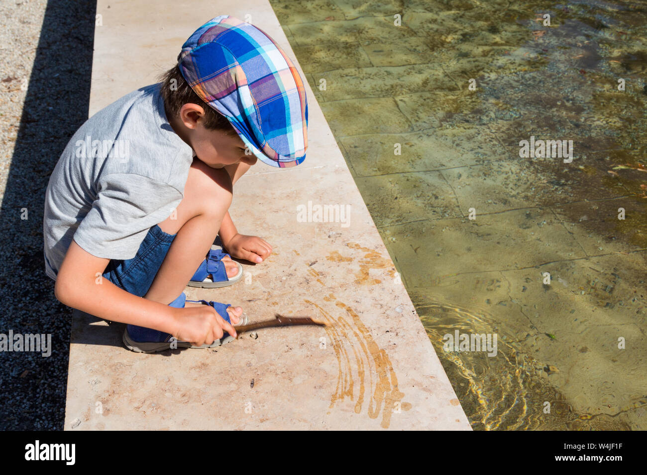 Wet twig hi-res stock photography and images - Alamy