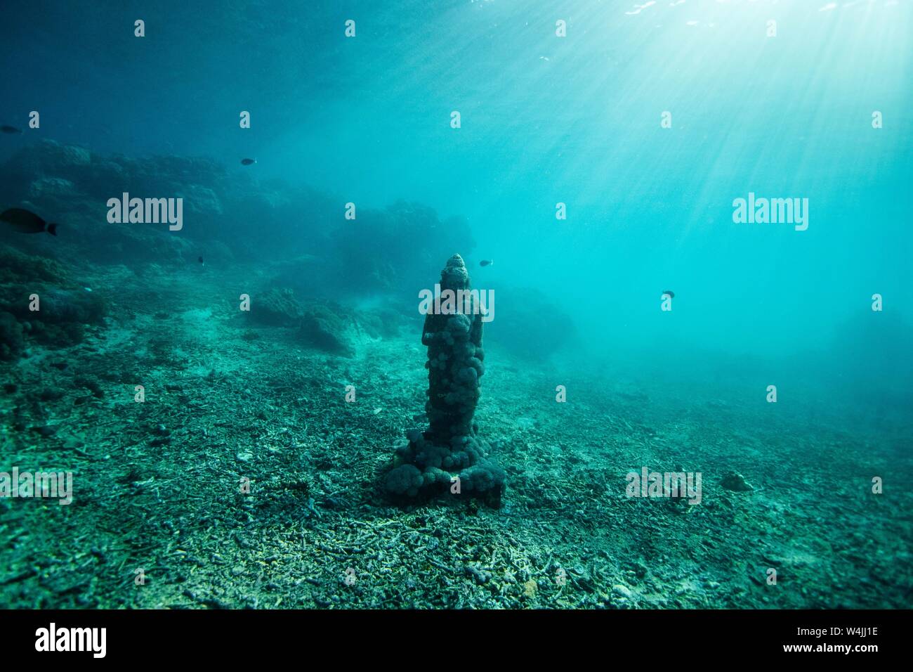 Statue of deep sea diver hi-res stock photography and images - Alamy