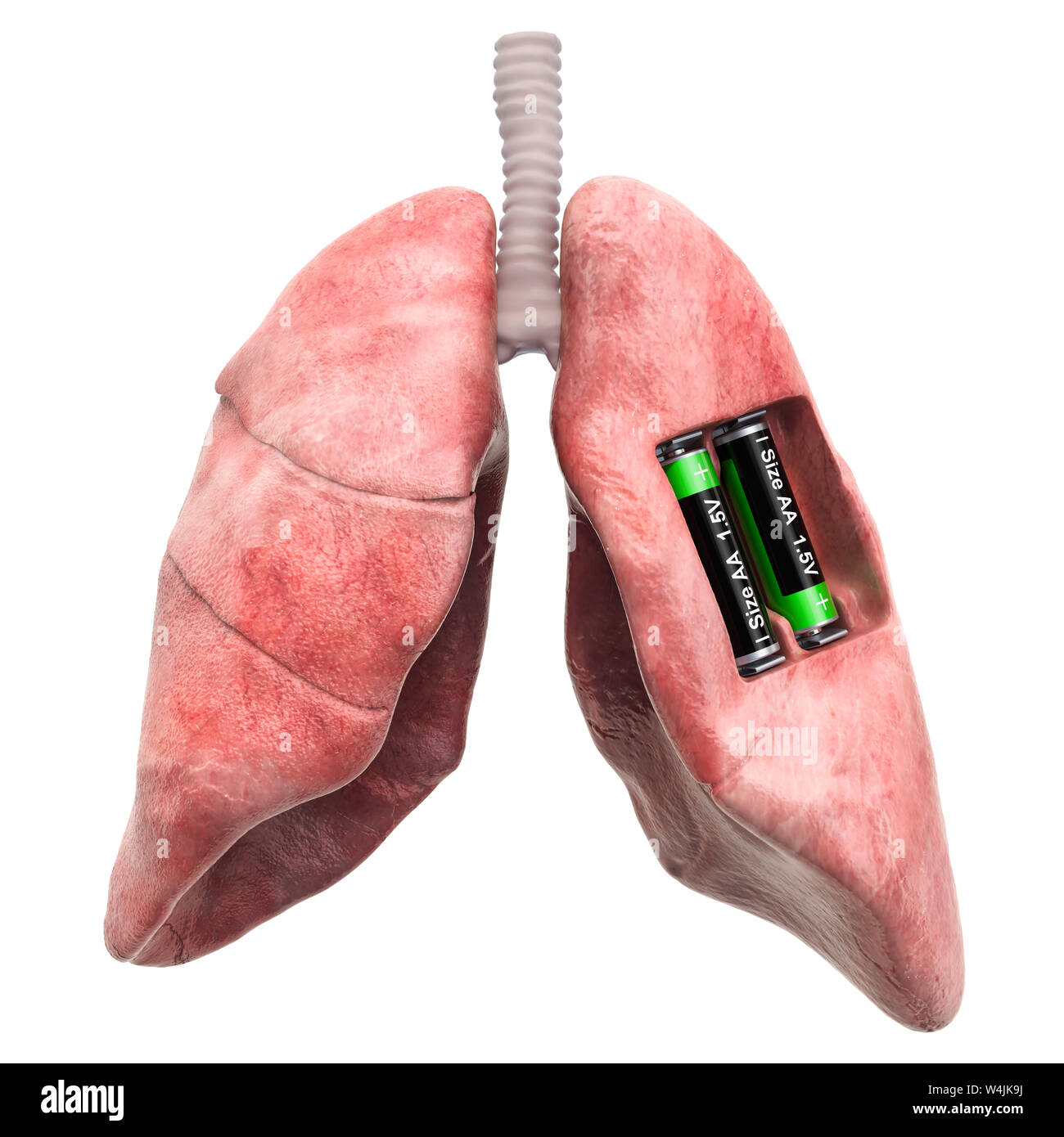 Human lungs with batteries. Recovery and treatment concept. 3D ...