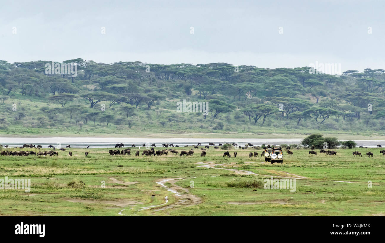 Ndutu road hi-res stock photography and images - Alamy