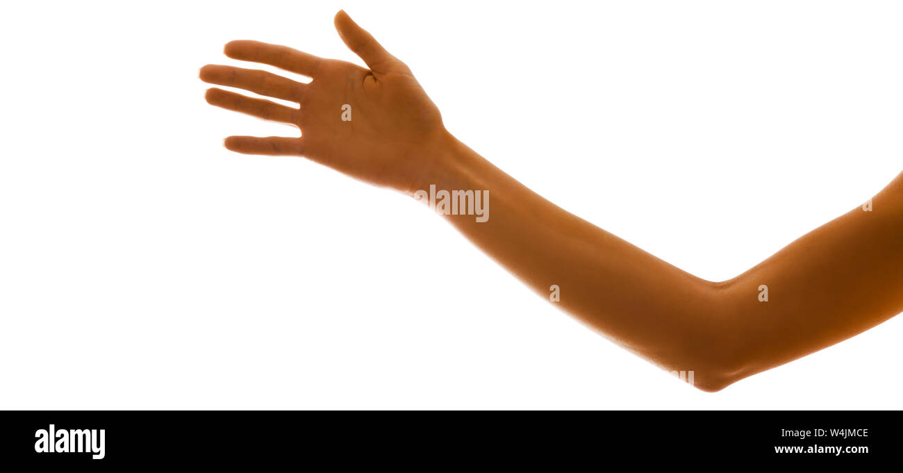 Young woman arm and hand isolated on white background. Part of body ...
