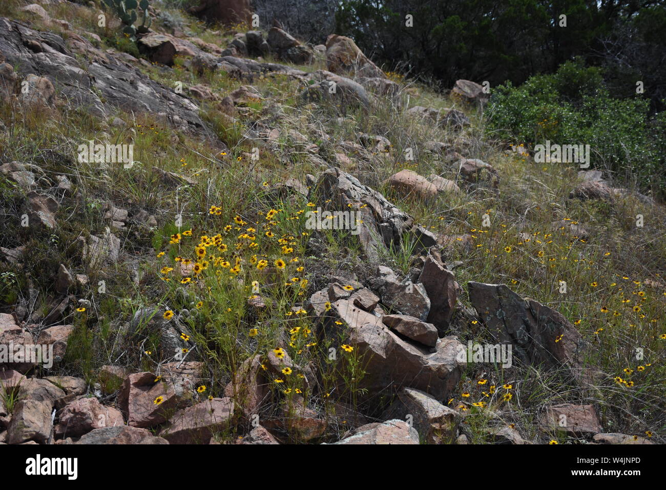 Inks lake hiking trails hi-res stock photography and images - Alamy