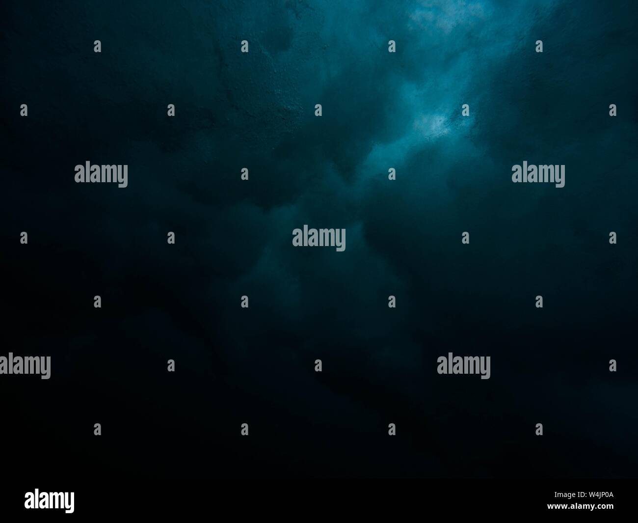 Beautiful closeup shot of dark underwater textures - perfect wallpaper ...