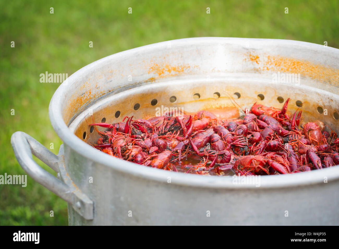 Spicy Crawfish Boiling in Pot Stock Photo - Alamy