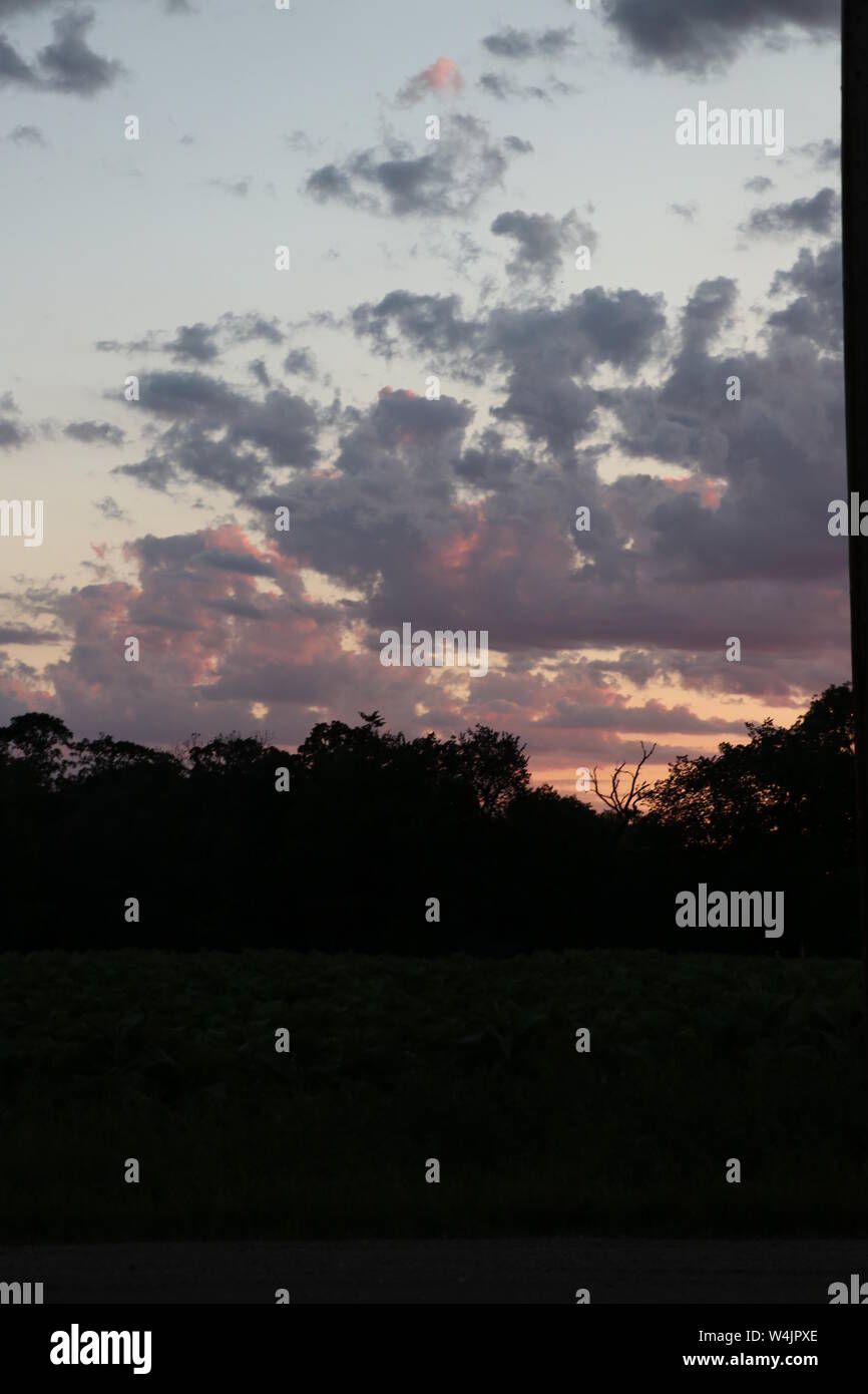 Bright pink grey cloudy hi-res stock photography and images - Alamy