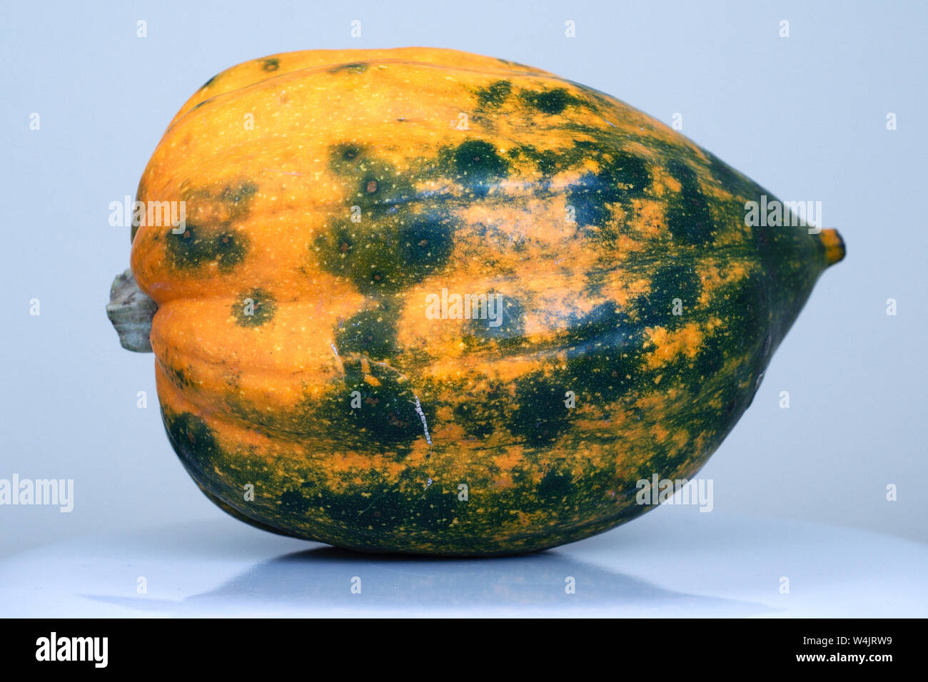 Fresh squash on white background Stock Photo - Alamy