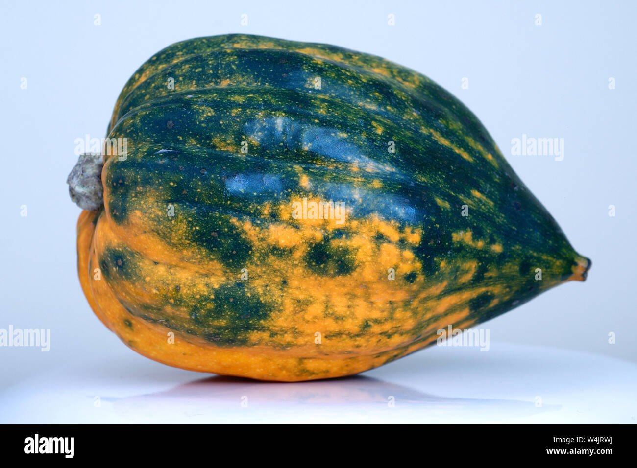 Fresh squash on white background Stock Photo - Alamy