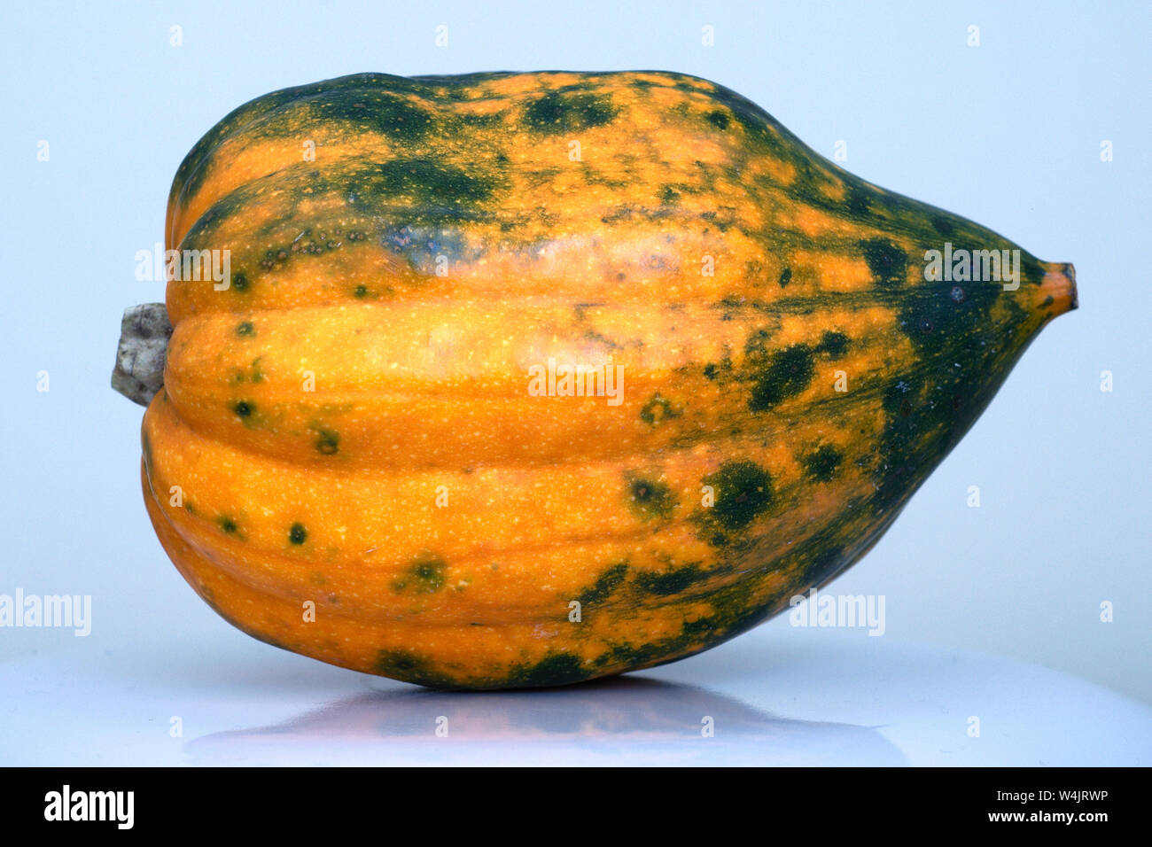 Light green squash hi-res stock photography and images - Alamy