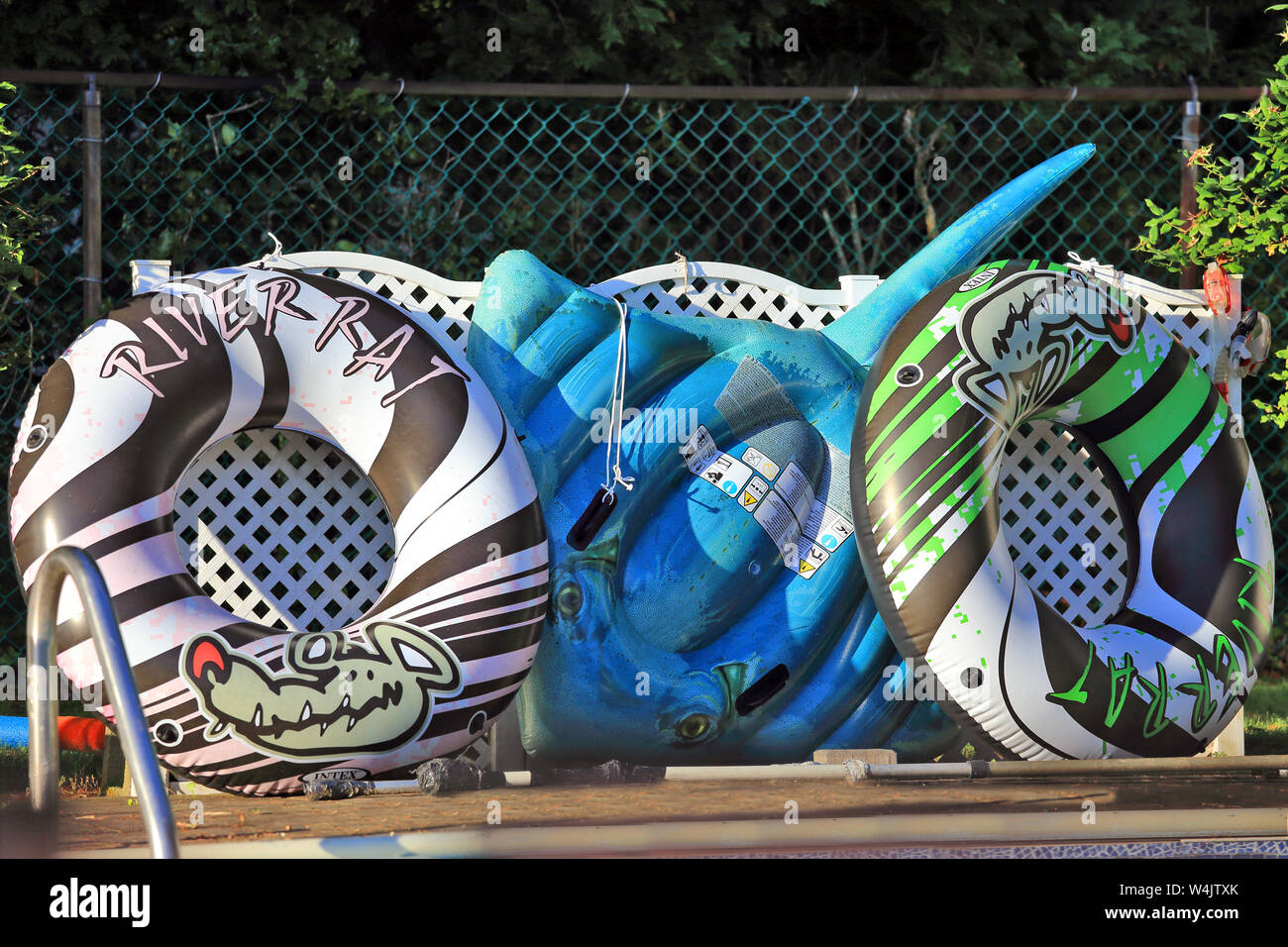 Pool floats hi-res stock photography and images - Alamy