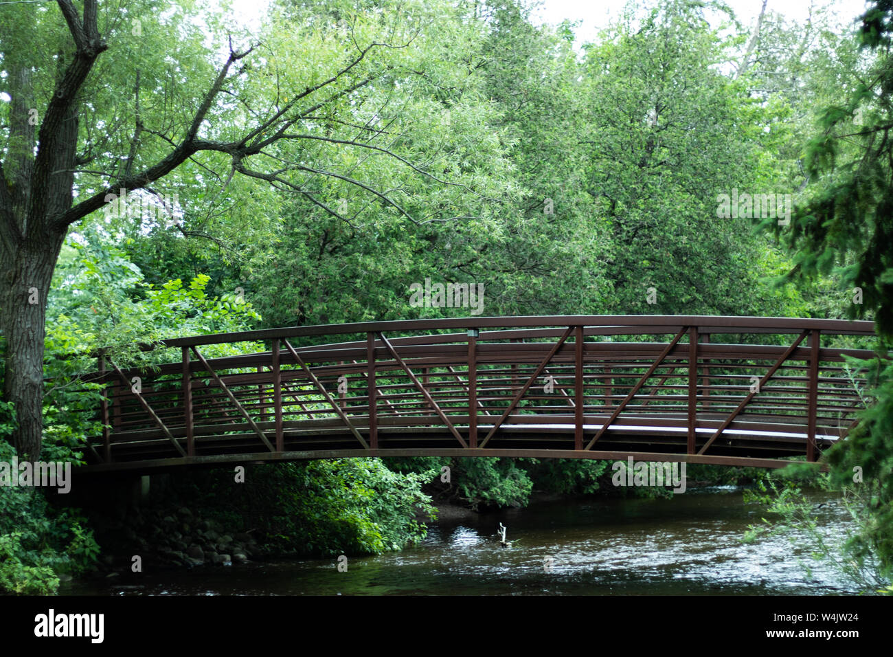 Nature bridge hi-res stock photography and images - Alamy