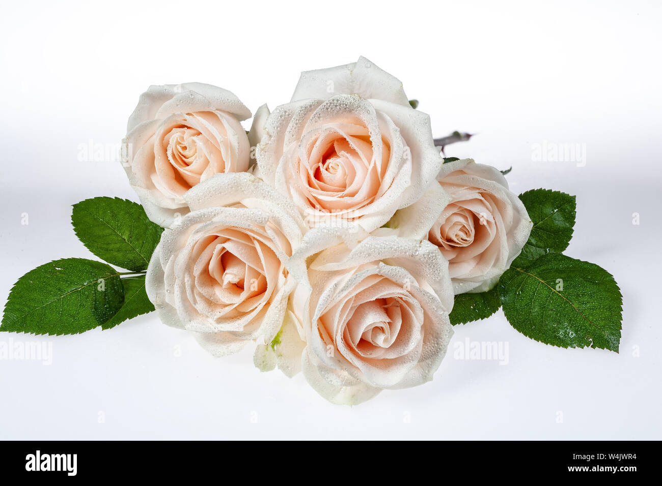 Bouquet of flowers on a studio background Stock Photo - Alamy