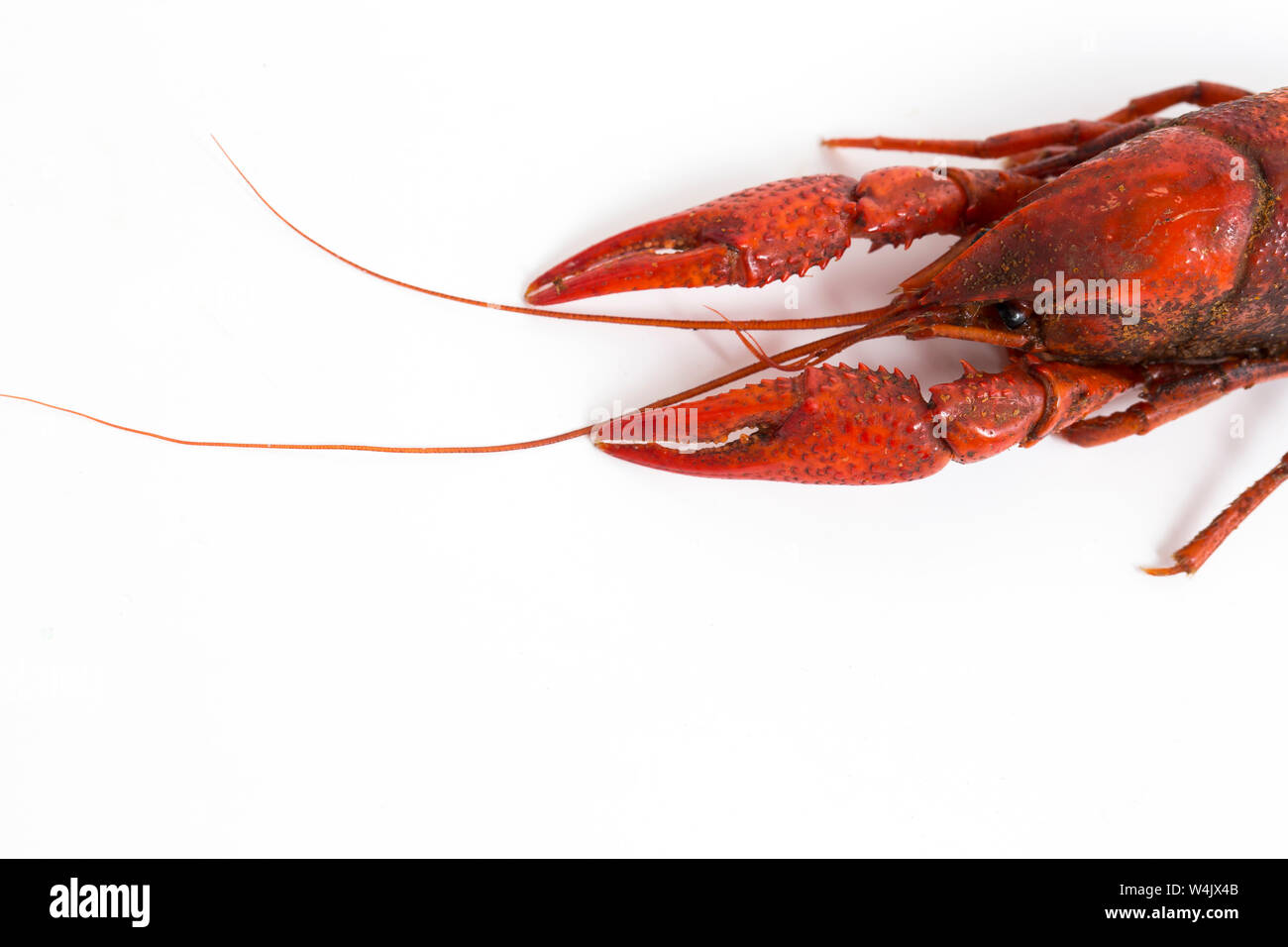 Crawfish boil pot Cut Out Stock Images & Pictures - Alamy