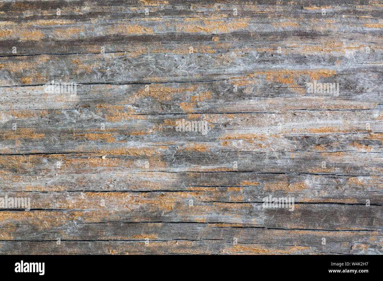 Weathered Wood Texture Stock Photo - Alamy