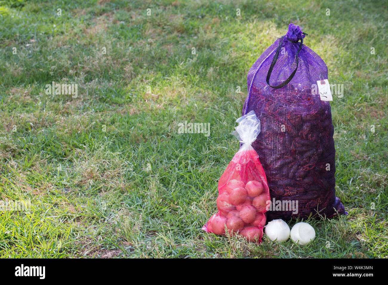 Live crawfish in bag bought for a boil Stock Photo - Alamy