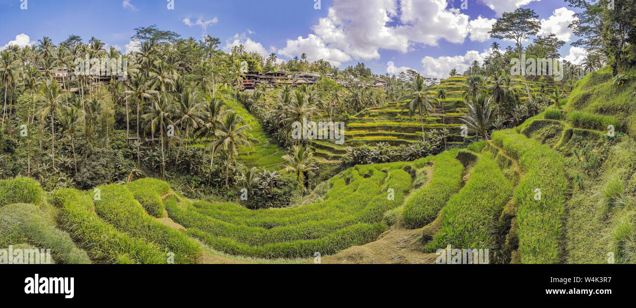 Burma rice terraces hi-res stock photography and images - Alamy