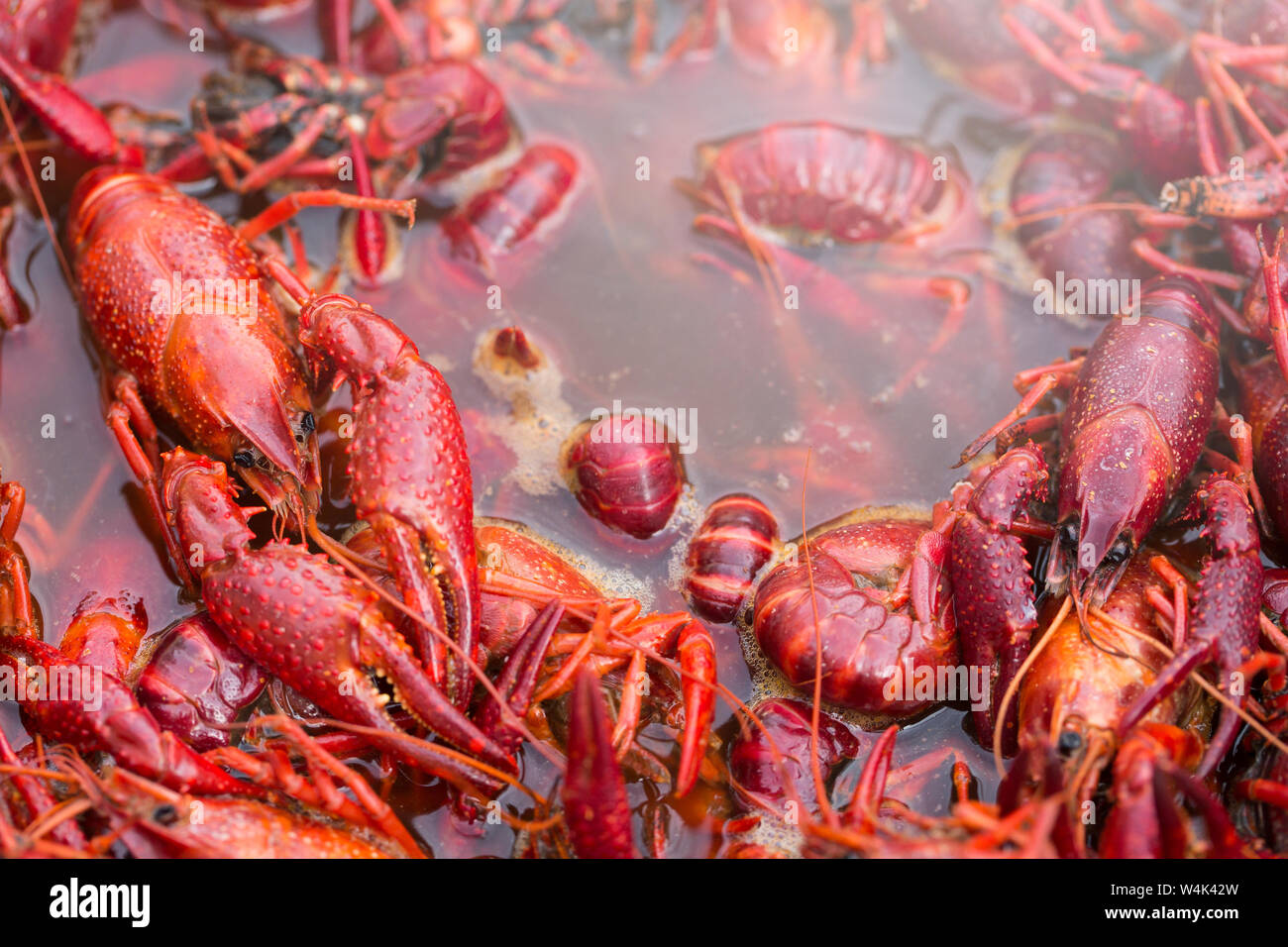 Spicy Crawfish Boiling in Pot Stock Photo - Alamy