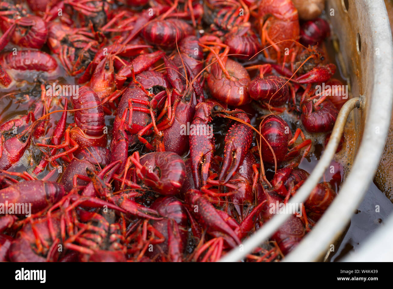 Spicy Crawfish Boiling in Pot Stock Photo - Alamy