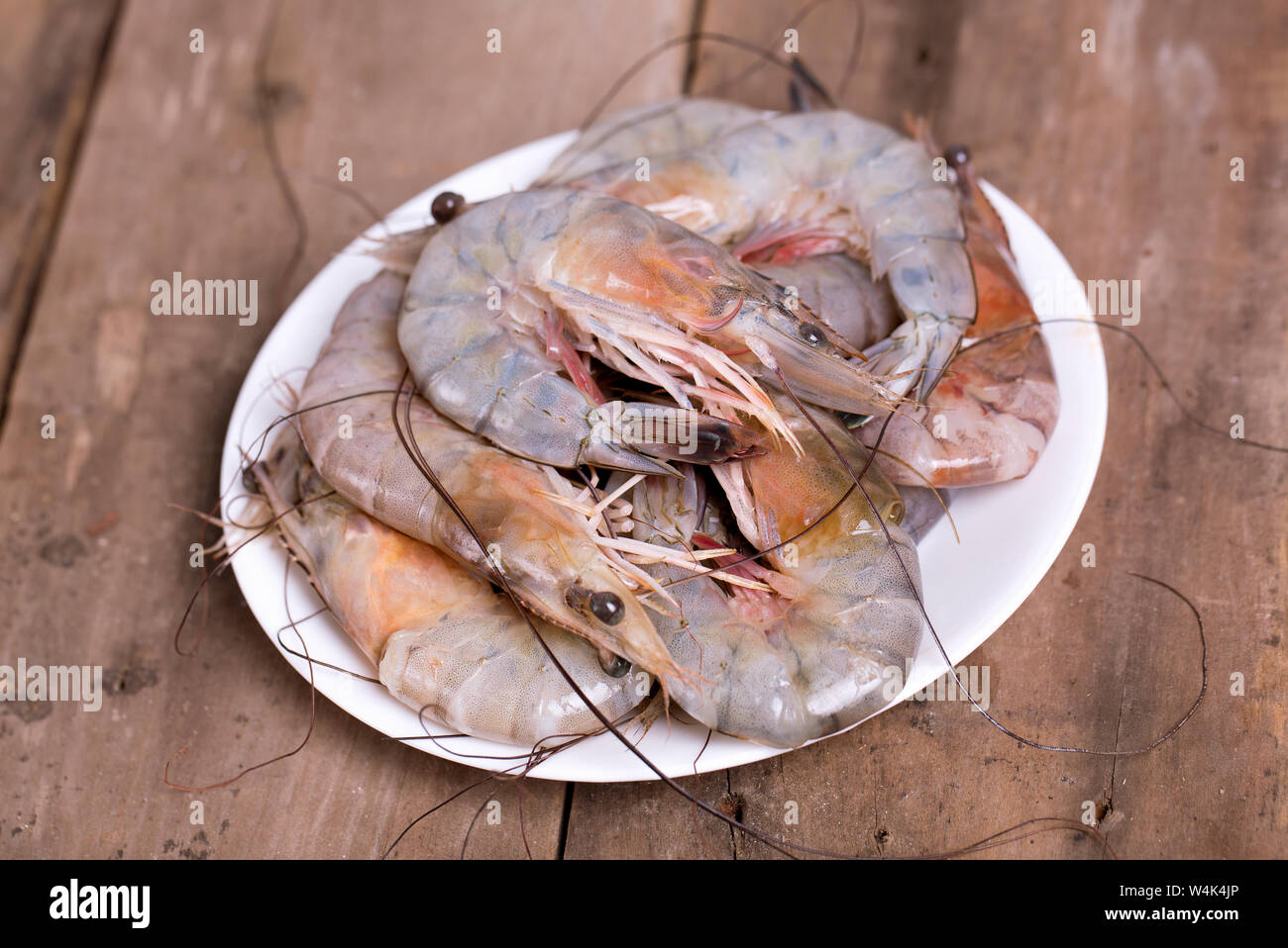 Gulf shrimp hi-res stock photography and images - Alamy