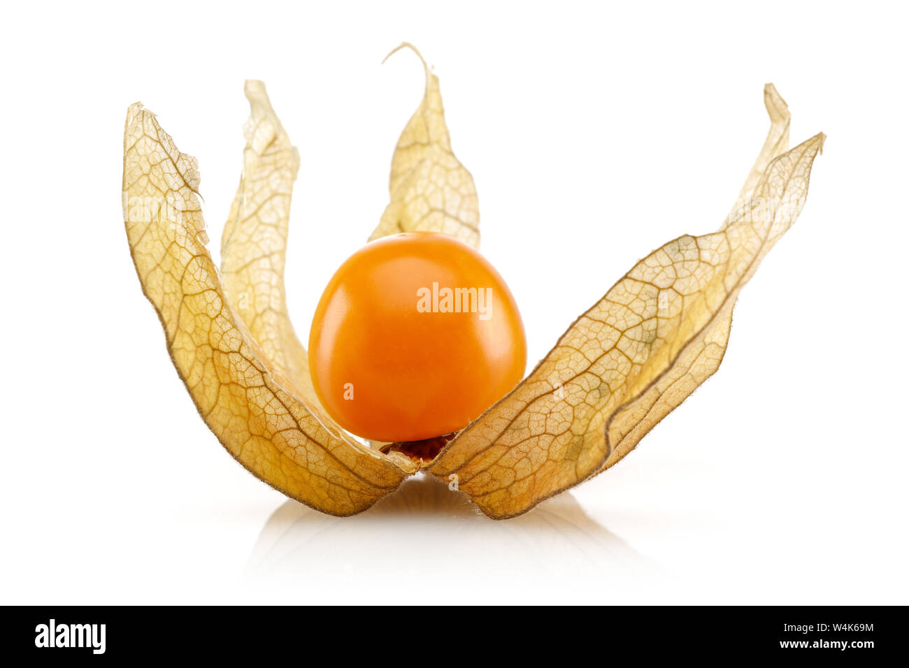 Physalis fruit or golden berry isolated on white background Stock Photo ...