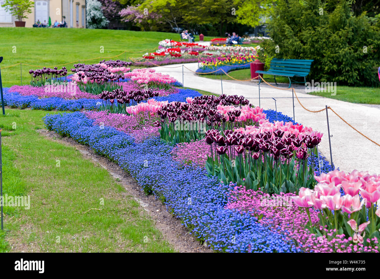 Blooming flower beds with different flowers in the botanical garden in ...