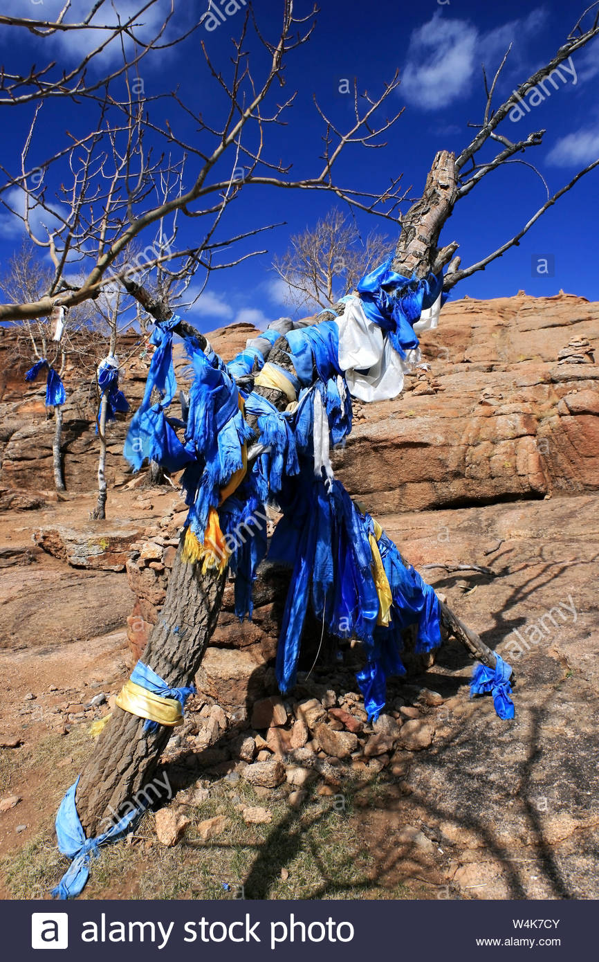 Shamanic Tree High Resolution Stock Photography and Images - Alamy