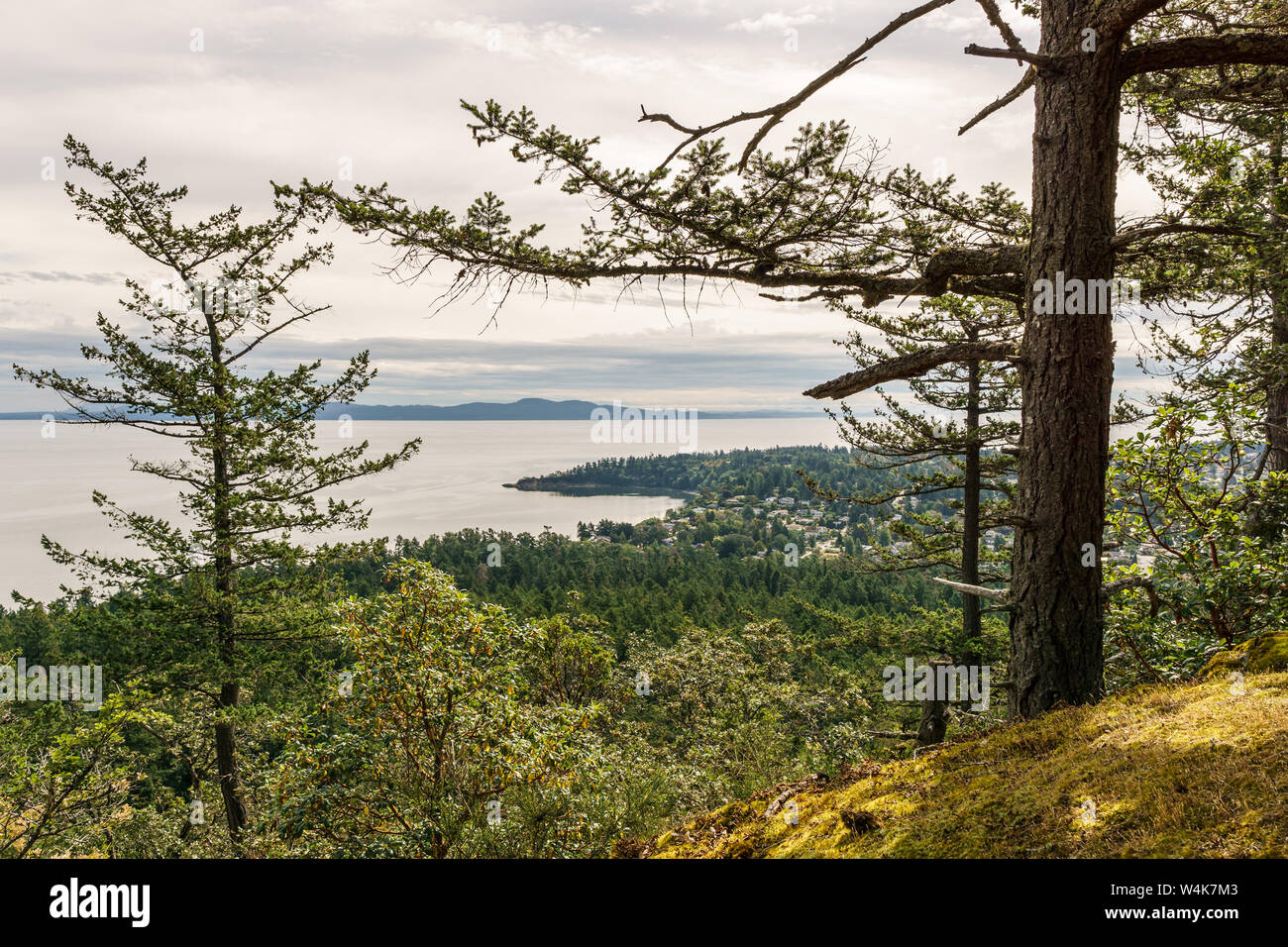 Aerial panoramic view of the city of Victoria from mount Douglas park ...