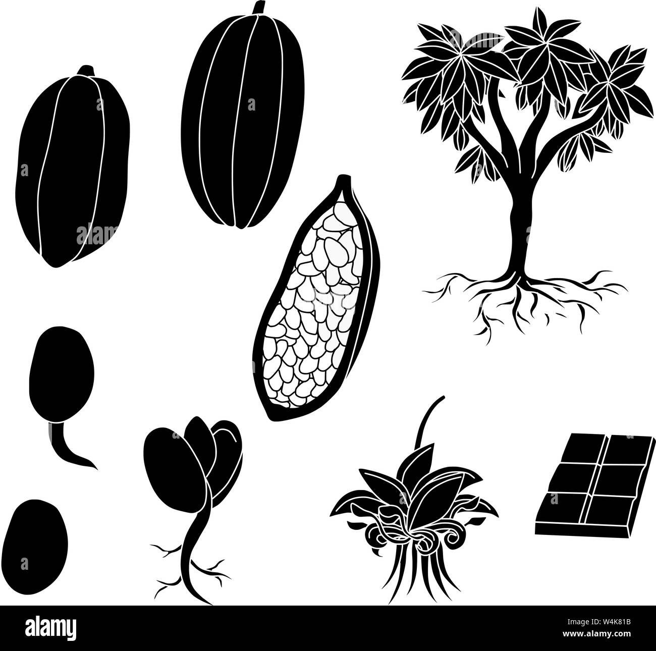 Cocoa Bean Vector Chocolate Coffee Illustrations Stock Vector Image ...