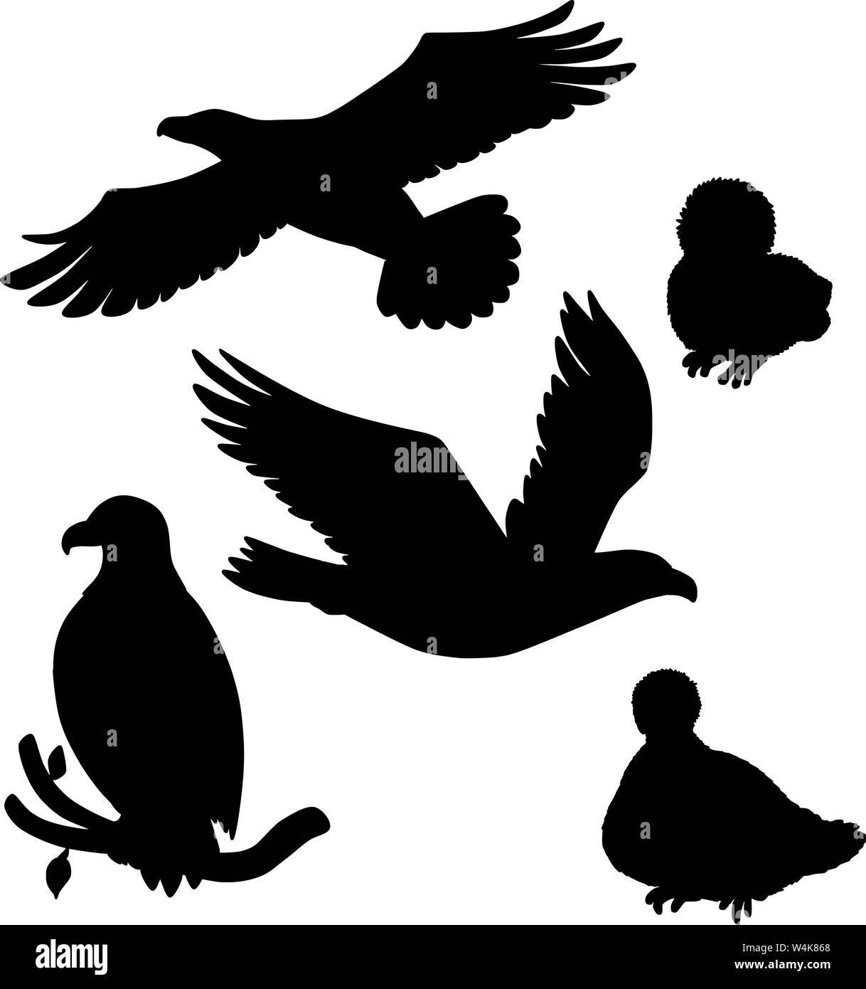 Eagles vector vectors hi-res stock photography and images - Alamy