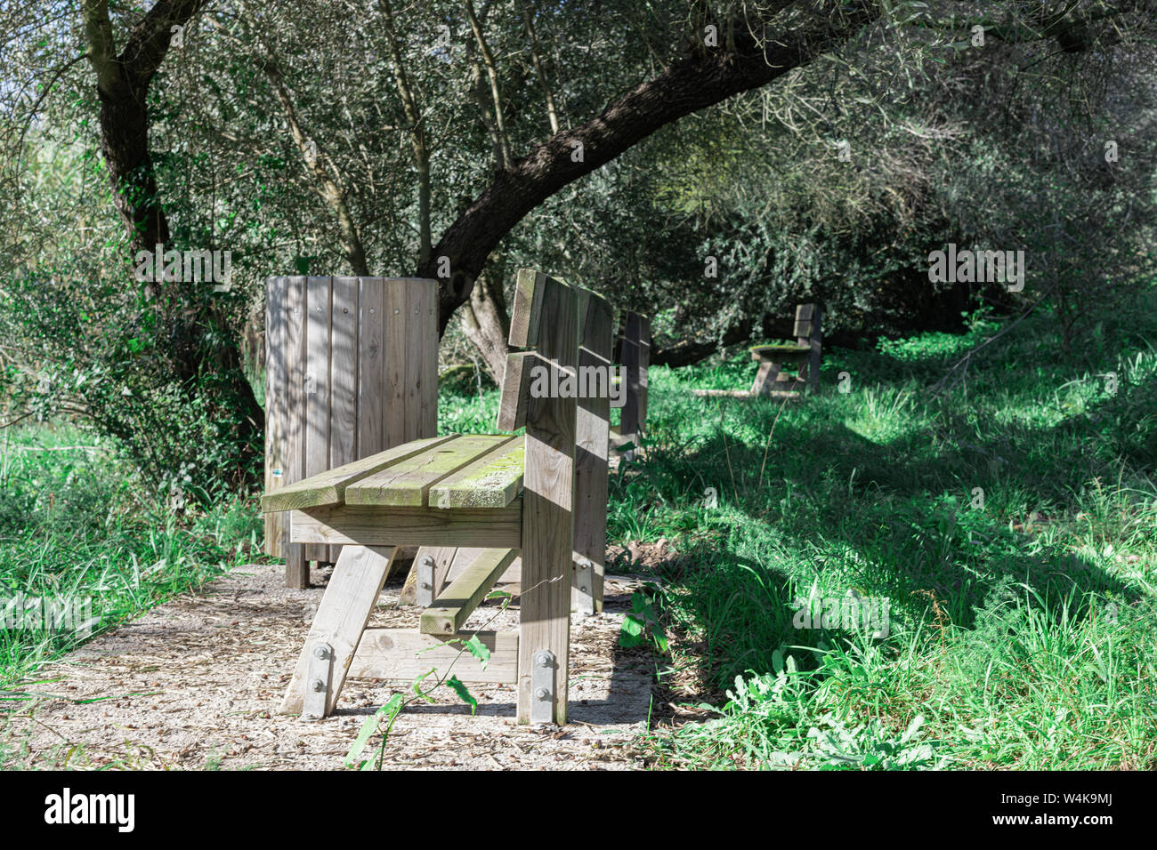 An old stool in the park reflecting shade on the leafy green grass in ...