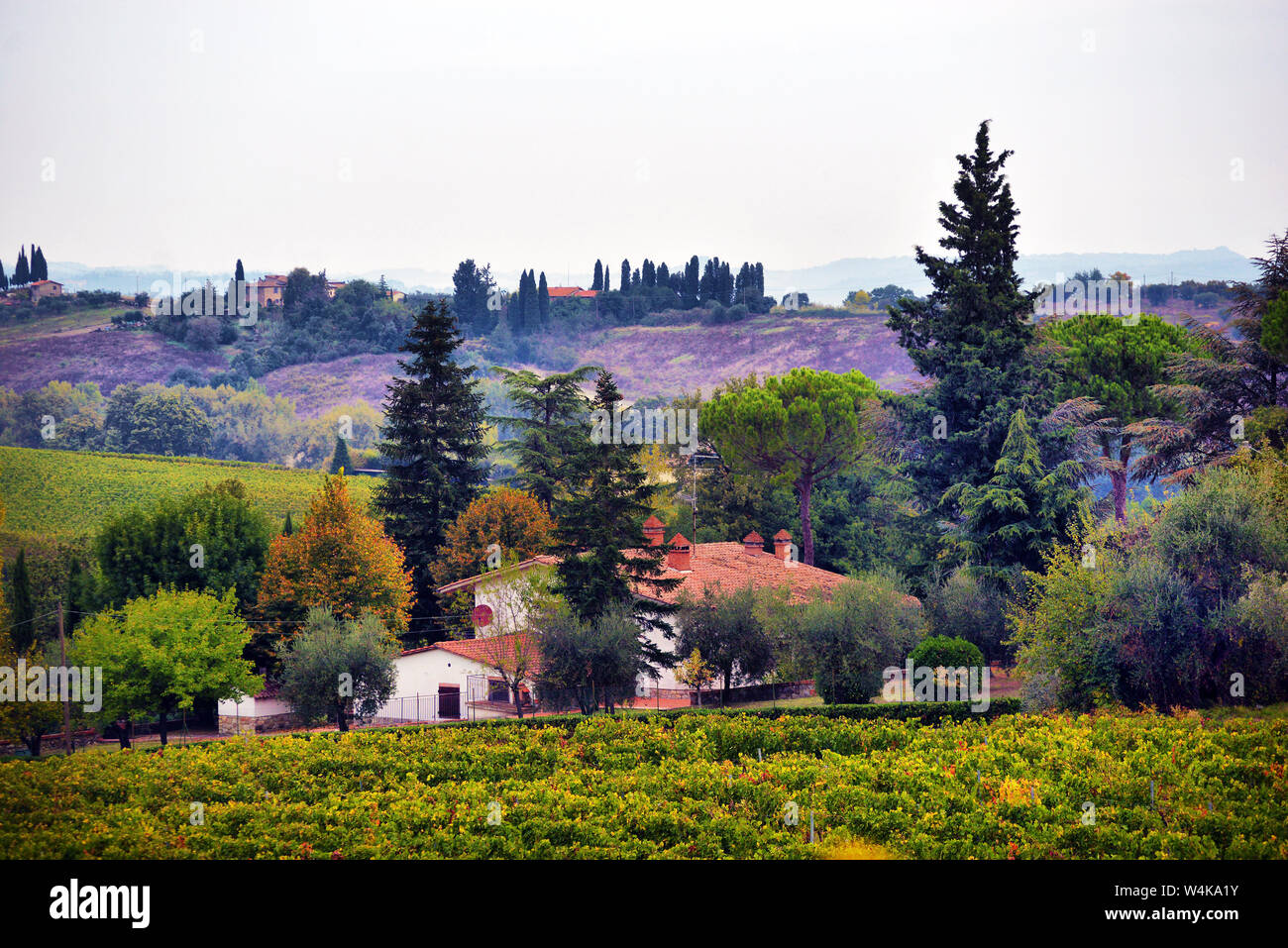 Traditional countryside and landscapes of beautiful Tuscany. Vineyards ...