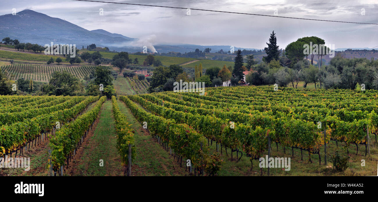 Traditional countryside and landscapes of beautiful Tuscany. Vineyards ...