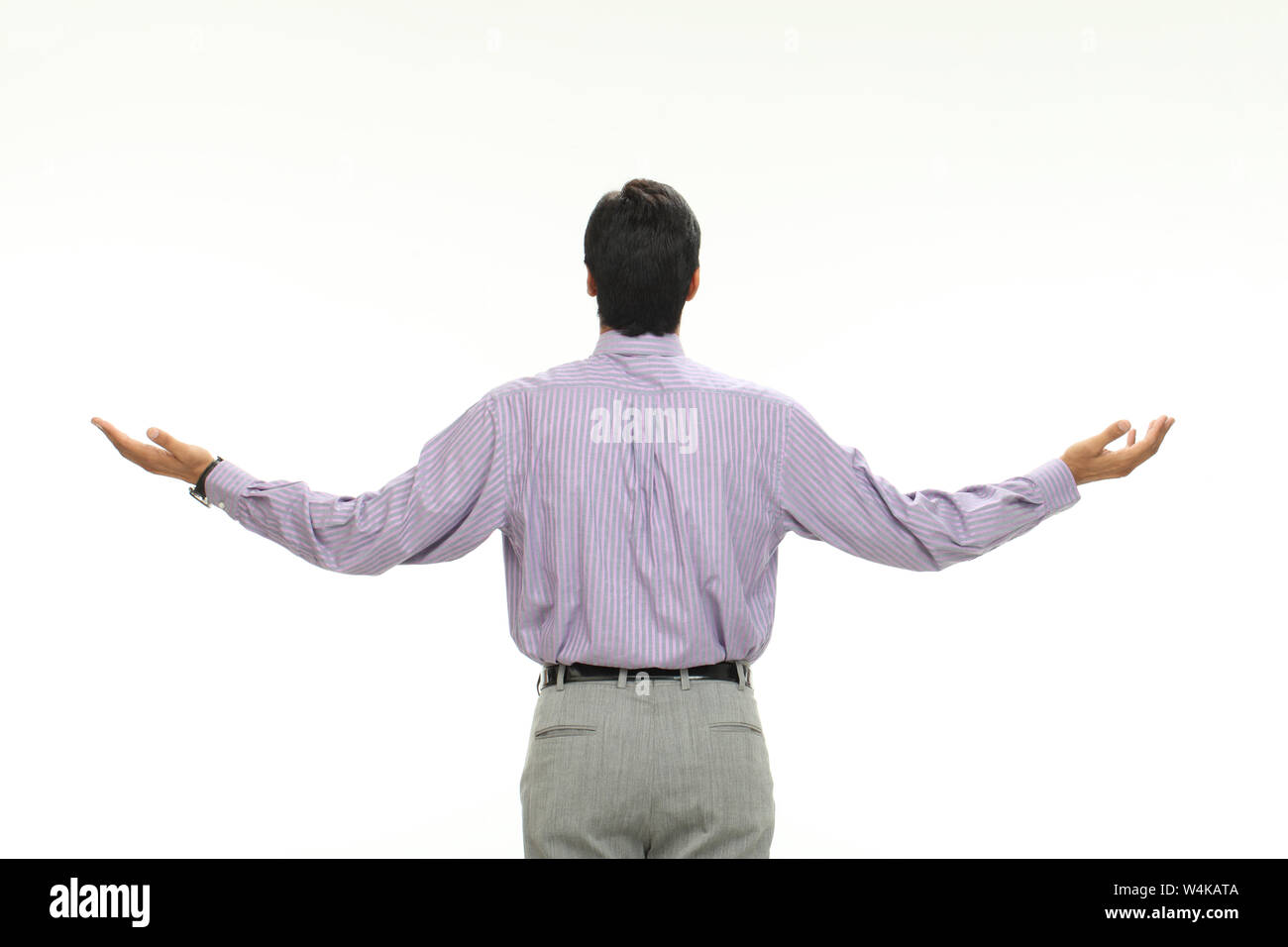 Rear view of an Indian businessman standing with his arm outstretched ...