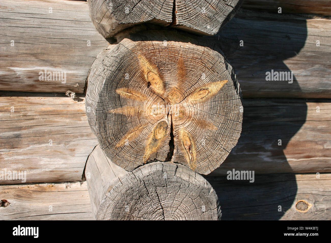 Wooden log house corner of the house from round logs Texture cut on the ...