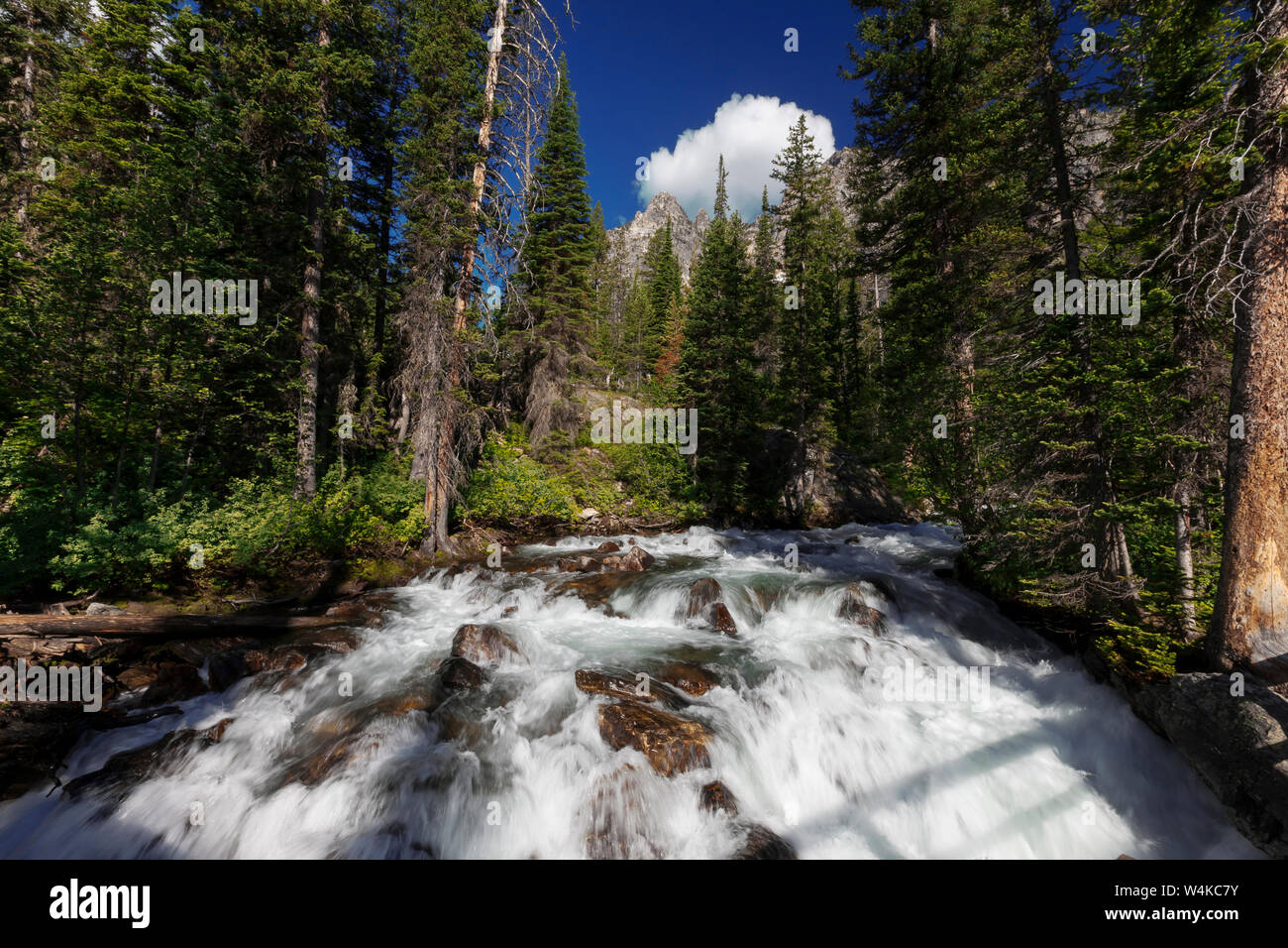 A flowing whitewater river in Montana Stock Photo - Alamy